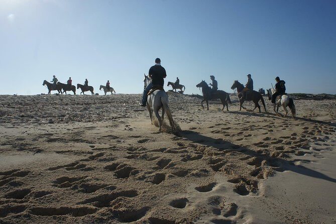 Aruba Private, 2 Hour Horseback Riding Tour For Advanced Riders - What the Reviews Say