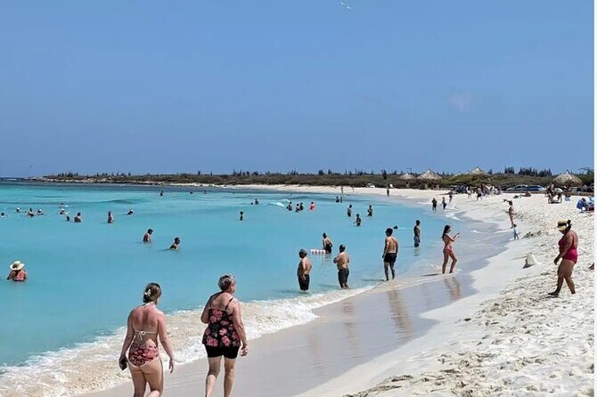 Aruba Private Tour with SeaFood/Caribbean Food Included - Who Should Consider This Tour?
