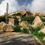 Aruba Shore Excursion: The Highlights and Delights Tour - Practical Details and What to Expect