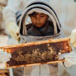 Aruba´s Bee Haven Private Adventure - Practical Details and Considerations