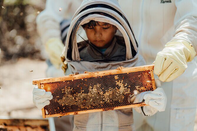 Aruba´s Bee Haven Private Adventure - Practical Details and Considerations