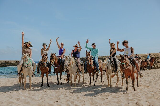 Aruba's Northern Coast Horseback Adventure - Detailed Itinerary Breakdown