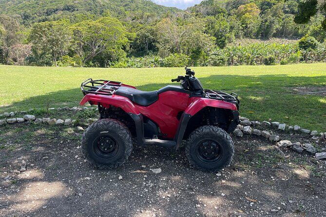 ATV and Horseback Ride n Swim Adventure Tour In Montego Bay - What Travelers Say (Based on Reviews)