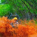 Atv and Horseback Riding Private Tour - Who Will Love This Tour?