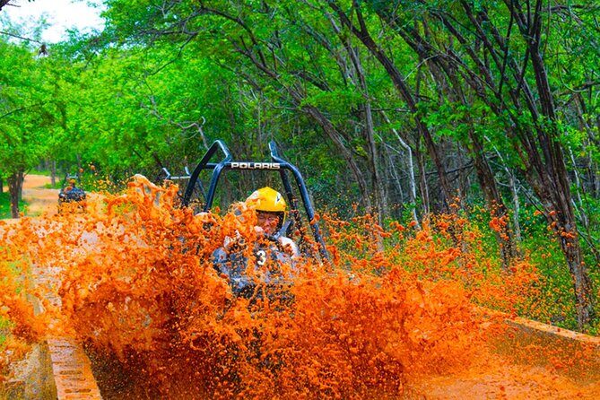 Atv and Horseback Riding Private Tour - Who Will Love This Tour?