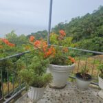 Authentic Trinidadian Cooking Class in Port of Spain - Introduction to the Trinidadian Culinary Experience