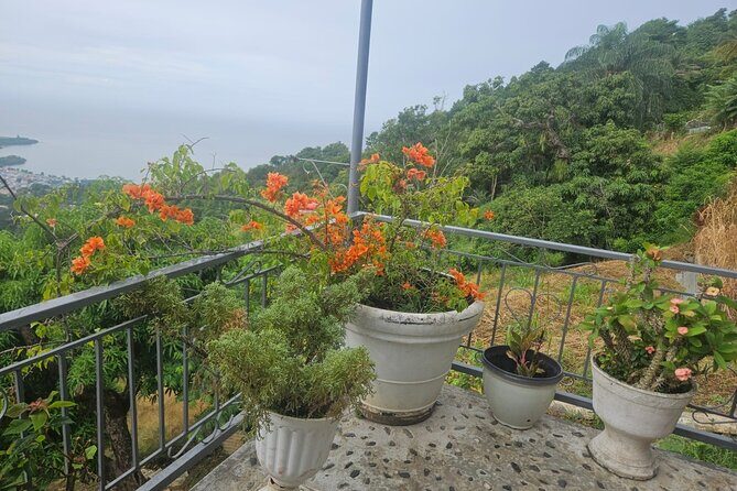 Authentic Trinidadian Cooking Class in Port of Spain - Introduction to the Trinidadian Culinary Experience