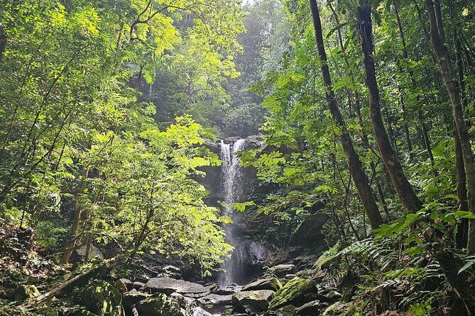 Avocat Waterfall and Maracas Bay, The Way Trinis Do It - Transportation and Comfort