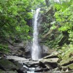Avocat Waterfall Tour & Beach Stop Adventure - Authentic Experiences and Tips from Reviews