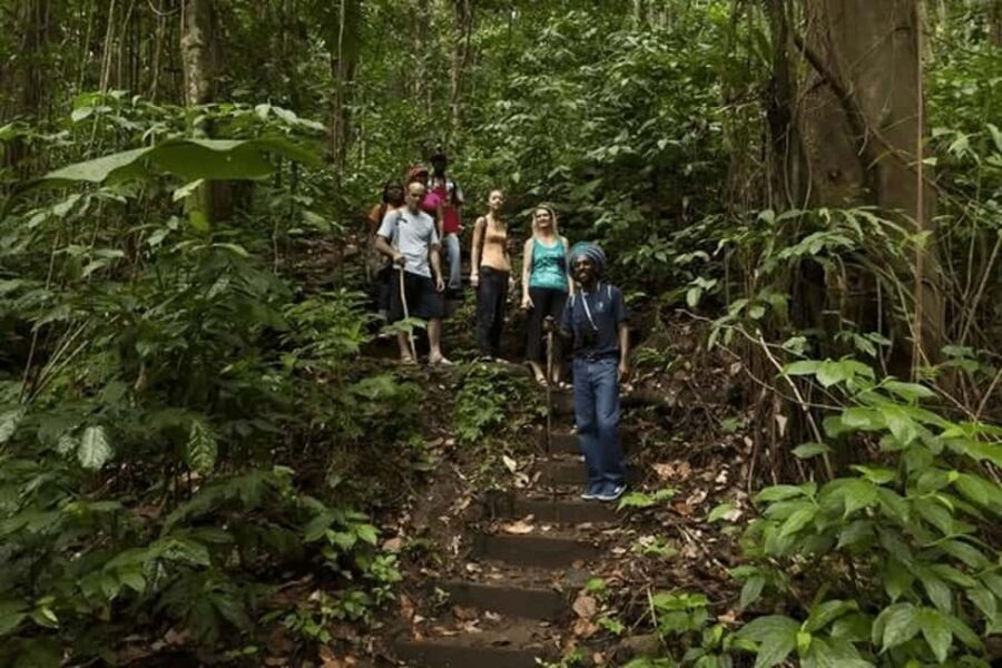 Babonneau/Castries: Rainforest Zip Line, Tram, and Hike Tour - Authentic Insights from Other Travelers