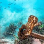 Bahamas on a Semi Submersive Glass Bottom Boat - The Price and Value