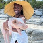 Bahamas Swimming Pigs Experience on Rose Island - The Realities of the Tour: Pros and Cons