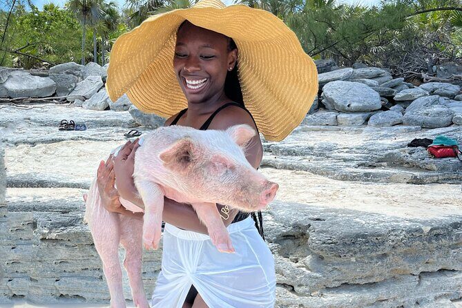 Bahamas Swimming Pigs Experience on Rose Island - The Realities of the Tour: Pros and Cons