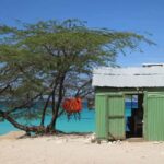 Bahía de las Aguilas: Beach Day Trip by Boat - The Itinerary in Detail