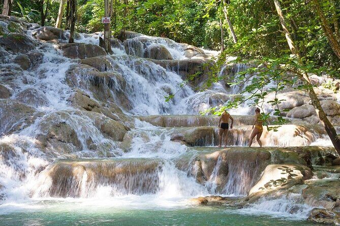 Bali Style High Ropes Swing and Dunn's River Fall Adventure - The Itinerary Breakdown: A Full Day of Adventure