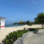 Bamboo Rafting Adventure and Montego Bay Highlights - Is It Worth the Price?