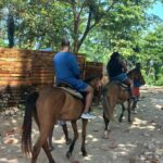 Bamboo Rafting and Horse Back Riding Combo in Ocho Rios - Why This Tour Offers Good Value