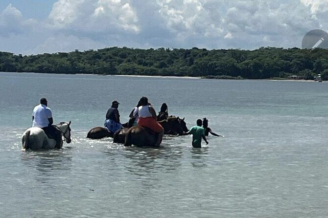 Bamboo Rafting and HorseBack Riding Excursion in OchoRios Jamaica - Final Thoughts