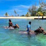 Bamboo Rafting & Horseback Ride n Swim Guided Tour In Montego Bay - Who Should Consider This Tour?