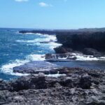 Barbados: 4 Hour Private Customized Island Tour - What to Expect: A Closer Look at the Experience