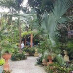 Barbados Amazing Full Day Private Rural Excursion - The Experience from the Travelers Perspective