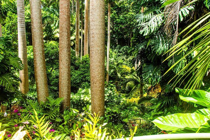 Barbados Botanical Tour - Who Will Love This Tour?