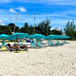Barbados: Carlisle Bay Beach Day and Turtle Swim Experience - Why You Might Choose This Tour