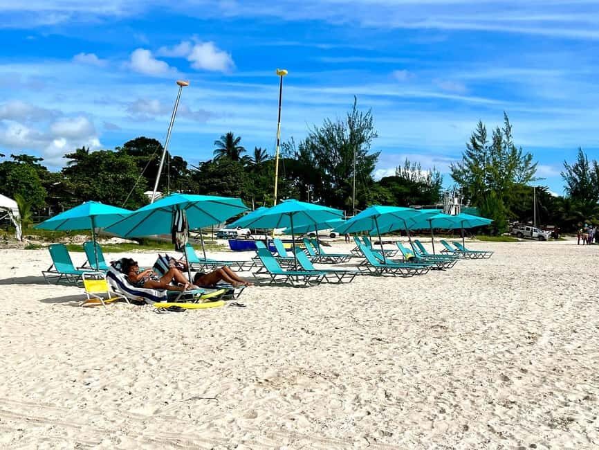 Barbados: Carlisle Bay Beach Day and Turtle Swim Experience - Why You Might Choose This Tour