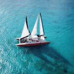 Barbados: Catamaran Tour with Snorkeling and Lunch - Practical Details and Tips for Booking