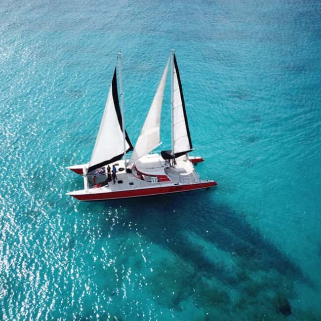 Barbados: Catamaran Tour with Snorkeling and Lunch - Practical Details and Tips for Booking