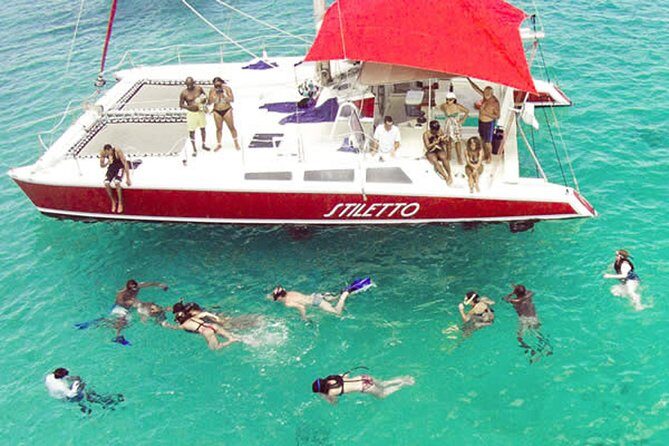 Barbados Catamaran Turtle Snorkel with Open Bar - The Itinerary Breakdown: What to Expect
