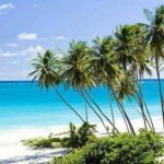 Barbados: Full-day Coast to Coast Tour - The Itinerary in Detail