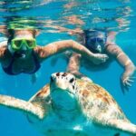 Barbados Glass Bottom Boat Cruise and Snorkeling - What Sets This Tour Apart?