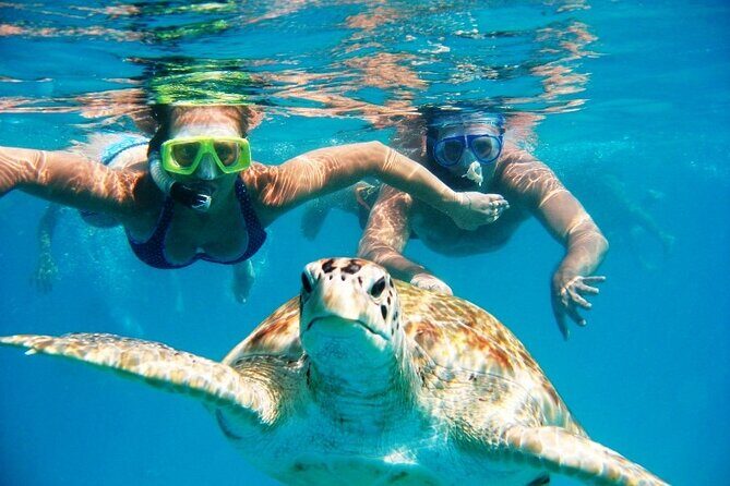 Barbados Glass Bottom Boat Cruise and Snorkeling - What Sets This Tour Apart?