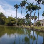 Barbados Half Day Coastal Sightseeing Private Tour - Authentic Experiences and the Value of a Guide