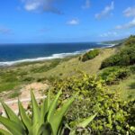 Barbados Highlights Tour - What to Expect and Practical Tips