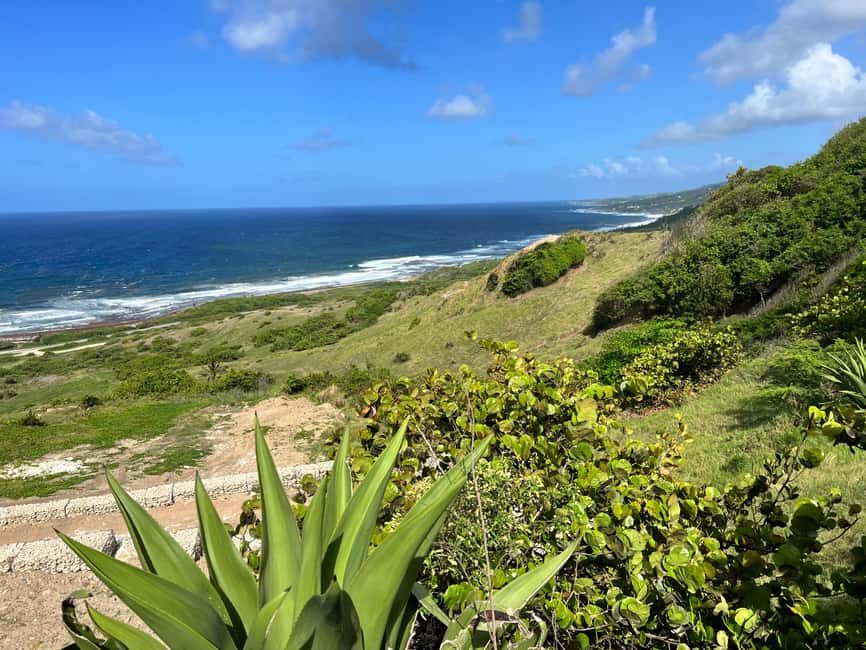 Barbados Highlights Tour - What to Expect and Practical Tips