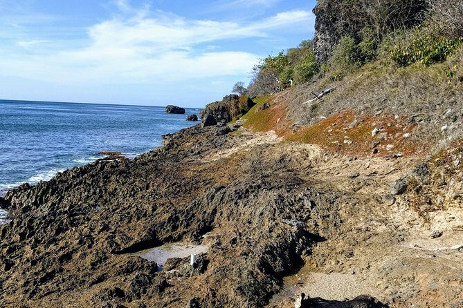 Barbados Hiking and Sightseeing Tour (Transport Included) - The Group Size & Atmosphere