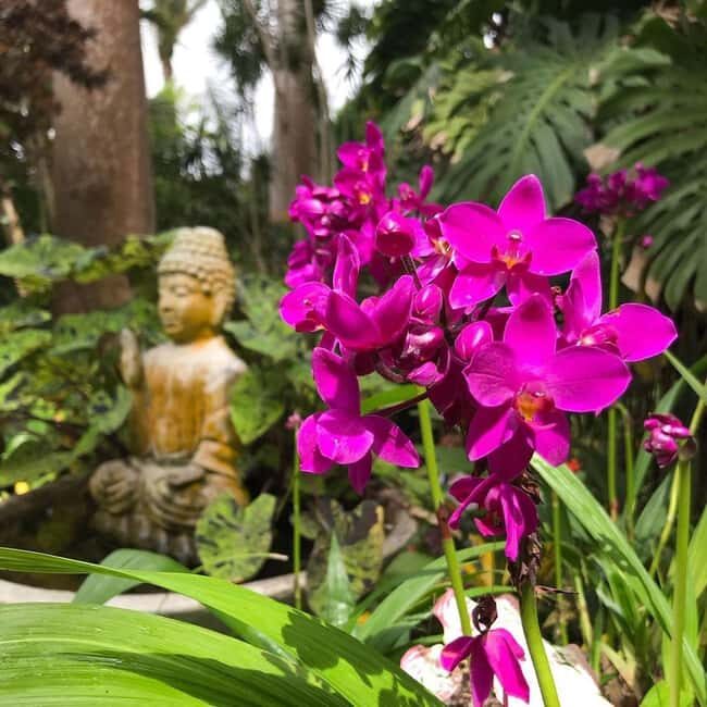 Barbados: Hunte's Garden, Artisan Studios, and Beach Tour - Who Would Enjoy This Tour?