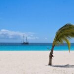Barbados Island Highlights Half-Day Tour - The Sum Up