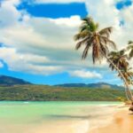 Barbados: Island Tour with Cave, Monkeys, and Boat Ride - Encounter with Green Monkeys at Welchman Hall Gully