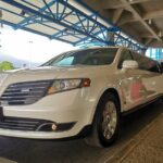 Barbados Luxury Airport Transfer Limousine Up To 10 Passengers - Who Will Love This Transfer?