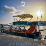 Barbados -Luxury Cruise with Lunch and Open Bar - An Overview of the Experience