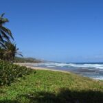 Barbados Paradise Tour with Hotel Transfers - Morgan Lewis Windmill – A Piece of Living History