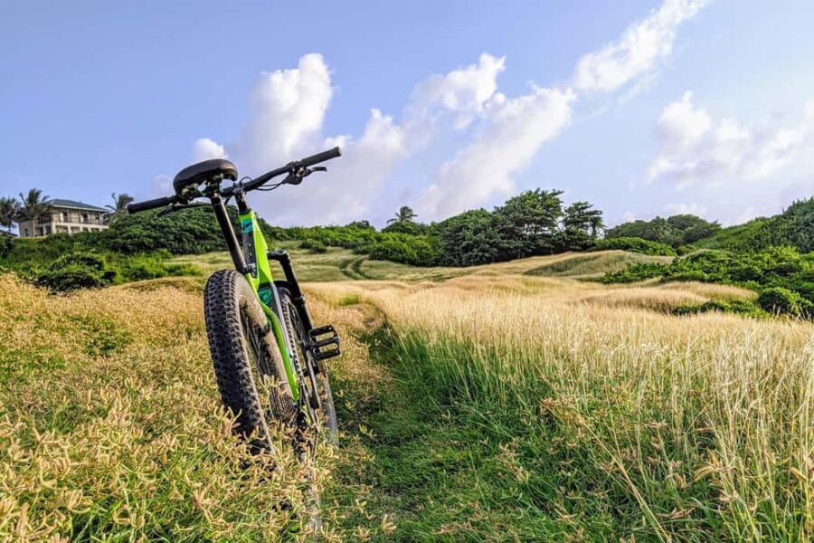 Barbados: Rural Tracks and Trails Guided E-Bike Tour - The Scenic Route and Geological Marvels