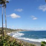 Barbados Shore Excursion Barbados Paradise Sightseeing Tour - The Practicalities and What to Expect
