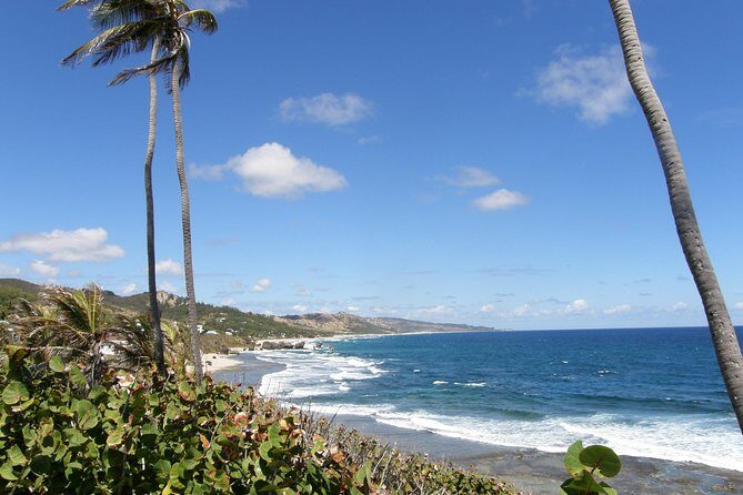 Barbados Shore Excursion Barbados Paradise Sightseeing Tour - The Practicalities and What to Expect