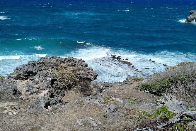 Barbados through the eyes of a local - What to Expect on the Tour