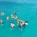Barbados Turtle and Shipwreck Snorkel Adventure - Key Points