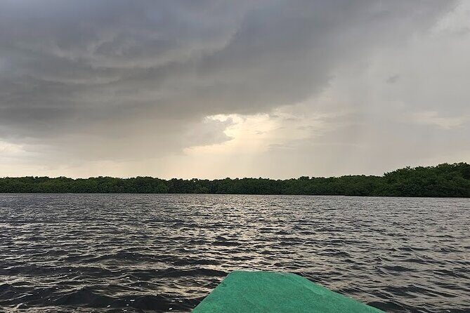 Basking in Nature during a Caroni Bird Sancturary Tour - The Sum Up: Is the Caroni Bird Sanctuary Tour Worth It?